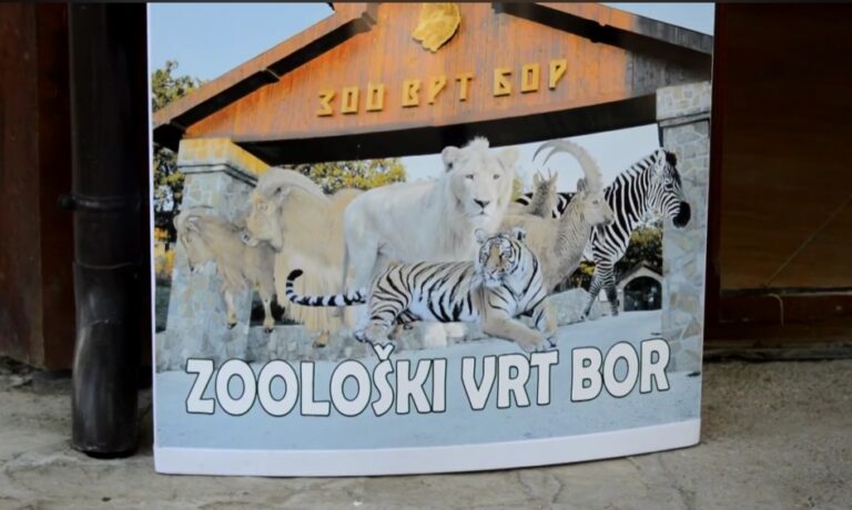 DA LI STE ZNALI DA JE ZOOLOŠKI VRT U BORU JEDAN OD NAJLEPŠIH U SRBIJI ...